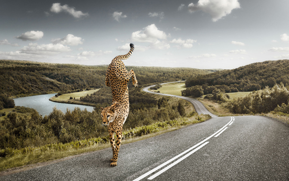 Jonathan Heyer - Global Advertising Photography Spotlight Feb 2015 ...