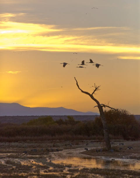 Kevin Garrett - Travel & Documentary Photography Spotlight Dec 2015 ...