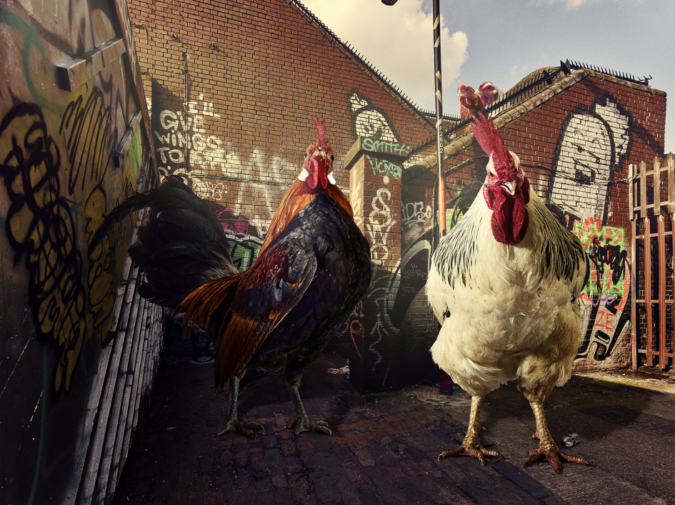 Graham Tooby - Global Advertising Photography + Motion Spotlight Feb ...